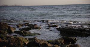 Top 15 Must Visit Beaches in Kuwait - Kuwait OFW